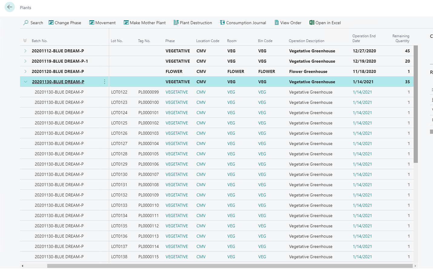Cultivation - Change Phase – Immature Plant to Plant